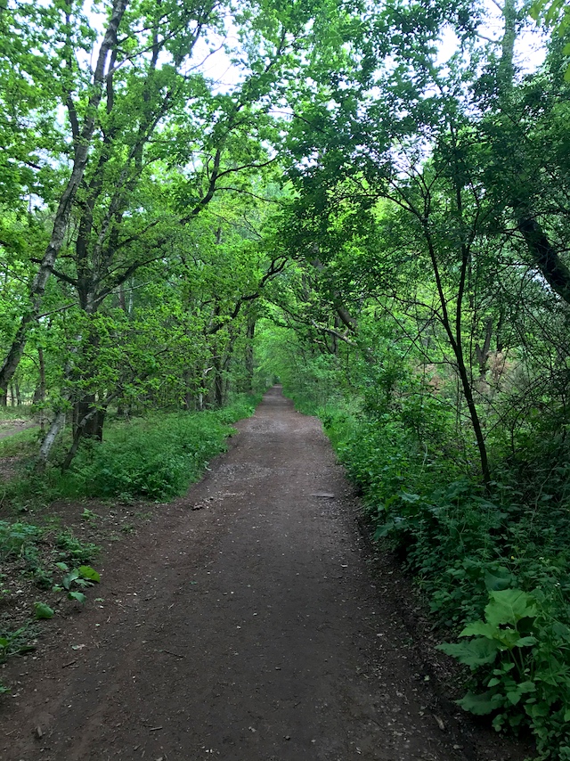 UK Walks - Lindsey Trail / Viking Way Circular Walk 1