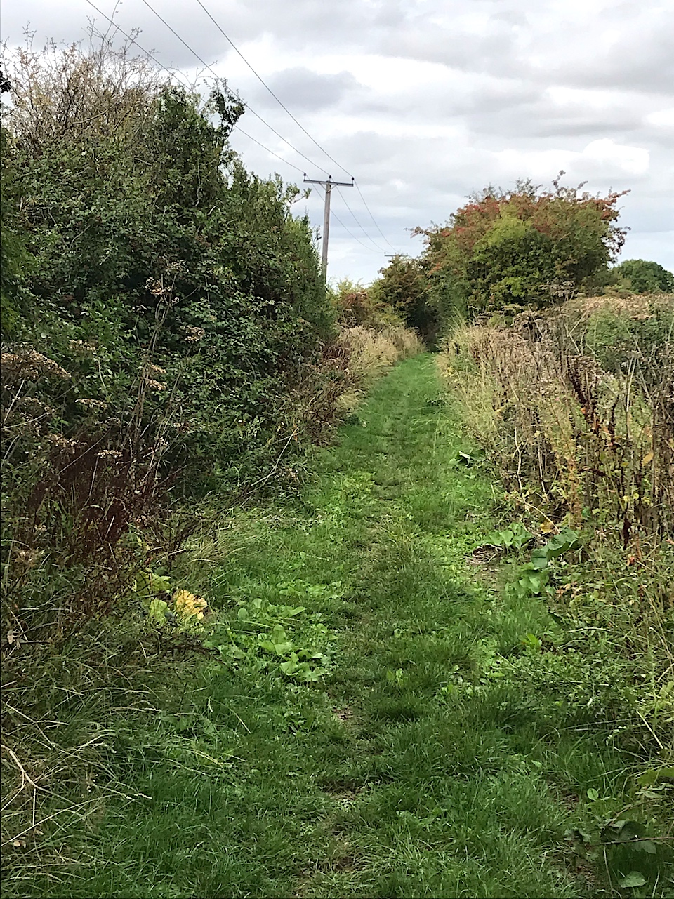 UK Walks - Viking Way Bardney/Stainfield to Fiskerton
